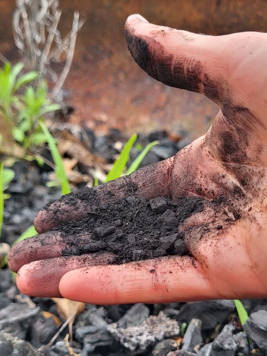Activated charcoal vs. Non-Activated Charcoal - An Experiment - Seen ...